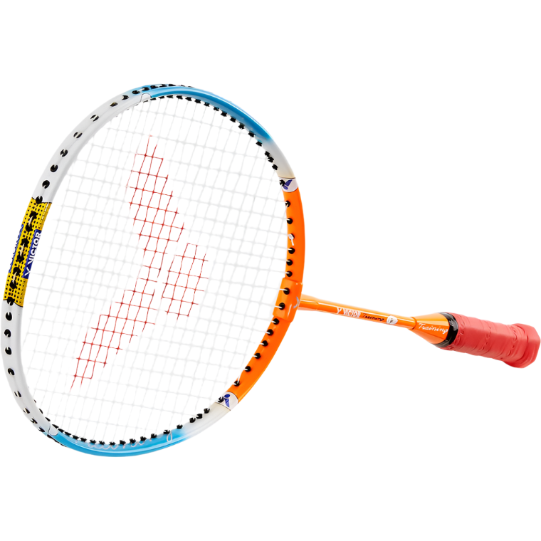 Victor 111658 Training – Rackets.ie